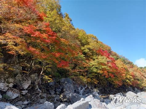 [tw포토] 울긋불긋 단풍 절정…한라산 둘레길 천아숲길