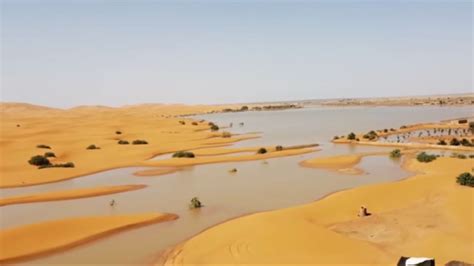 Video Poplava U Sahari Prvi Put U 50 Godina Evo Kako To Izgleda