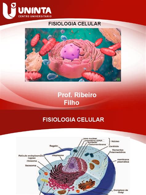 Fisiologia Celular Pdf Osmose Célula Biologia