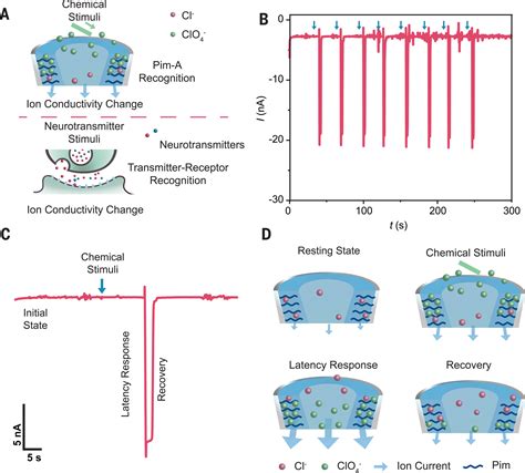 Neuromorphic Functions With A Polyelectrolyte Confined Fluidic Memristor Science