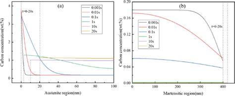 A Carbon Concentration Distribution In The Calculated Region Of