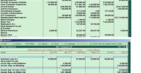 Easy Multiple Ledger Print Export Email