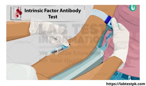 Intrinsic Factor Antibodies
