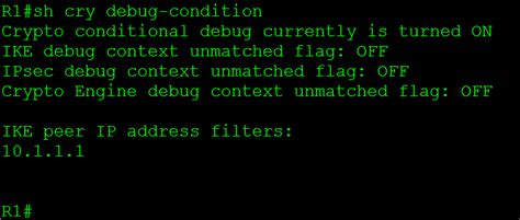 debugging a specific ipsec vpn ccie or null