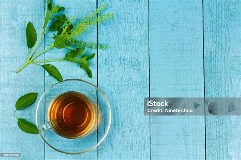 푸른 나무 배경에 신선한 털시 잎투명 유리 컵털시 또는 거룩한 바질 차 차 뜨거운 음료에 대한 스톡 사진 및 기타 이미지 차 뜨거운 음료 홀리바질 0명 Istock