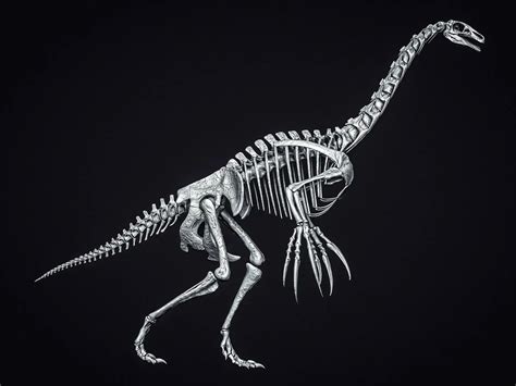 💀 Therizinosaurus Cheloniformis Skeleton Model For 3d Printing With