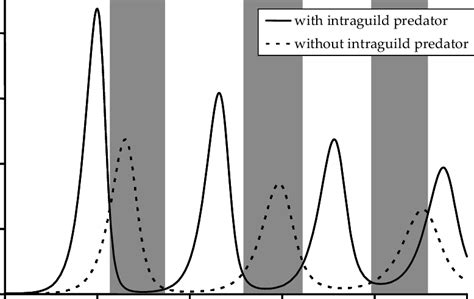 The Effect Of Intraguild Predation On Transient Dynamics According To Download Scientific