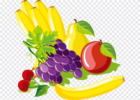 과일 야채 음식 일러스트 절묘한 과일과 야채 자연 식품 음식 Png Pngegg