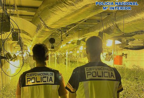 La Policía Nacional Desarticula Un Grupo Criminal Dedicado Al Cultivo