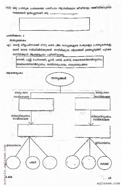 Class 4 Evs Onam Exam Question Paper 2024 Kerala Std 4 First Term Evs