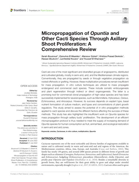 Pdf Micropropagation Of Opuntia And Other Cacti Species Through Axillary Shoot Proliferation