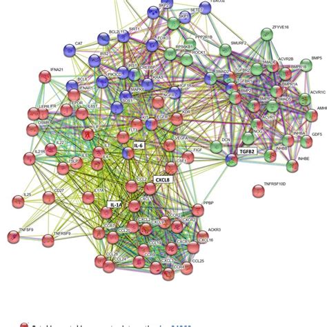 Interaction Of Mirna Targets String Diagram Of Target Protein‐protein