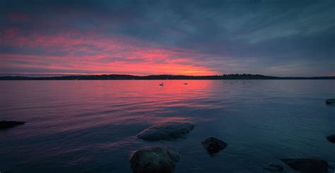 Nextjs Material Kit By Creative Tim