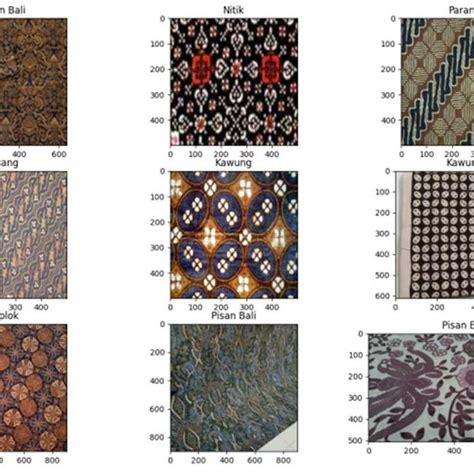Some Images Examples Of The Dataset Download Scientific Diagram