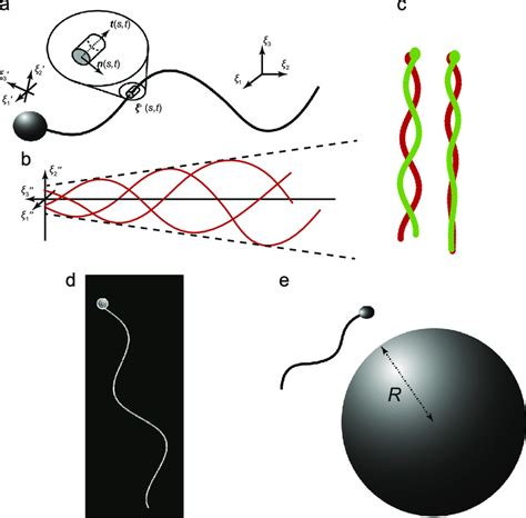 A Schematic Picture Illustrating The Parameterisation Of A Virtual Download Scientific Diagram