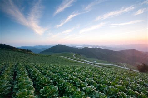 해남평화농원 소개 네이버 블로그