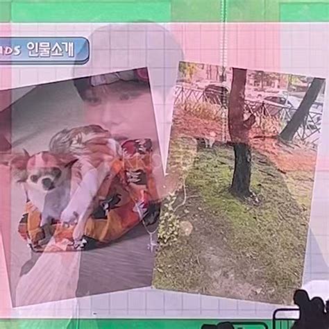 콩 On Twitter 230708 팬콘 기현 뒤에 더 있는데 끝나버려서 어리둥절 지현우 댐