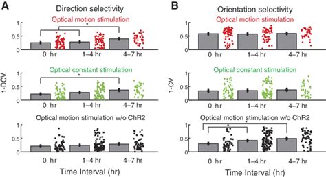 Fig A8 Direction Selectivity And Orientation Selectivity As Assessed Download Scientific