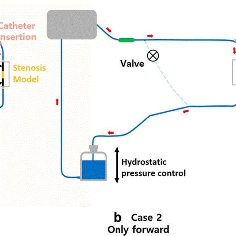Correlation Between A Ffr And Reconstructed Ffr B Ifr And Download Scientific Diagram