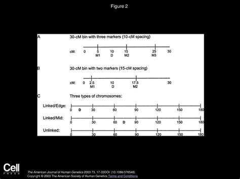 douglas f levinson matthew d levinson ricardo segurado cathryn m ppt download