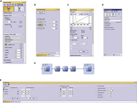 Parameters That Can Be Adjusted In The Cellsens Dimension Imaging