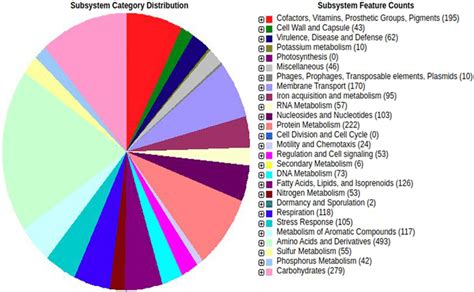 Genome Annotation And Comparative Genomics Of Pseudomonas Aeruginosa Download Scientific