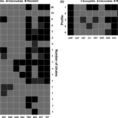 Antimicrobial Susceptibility Profile Of Staphylococcus Aureus N 71 Download Scientific