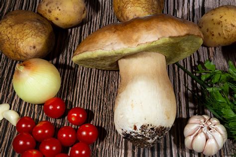 야생 포르치니 버섯 을 요리하기위한 다양한 재료 포르치니 버섯 감자 양파 마늘 건강한 식생활에 대한 스톡 사진 및 기타 이미지 건강한 식생활 그루터기 식물 부위 기하