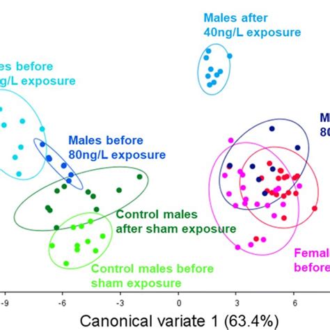 Effects On Body Shape Using Geometric Morphometrics Among All Groups