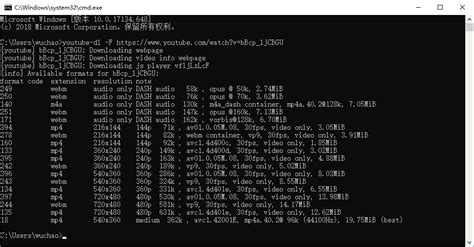 使用python ffmpeg youtube dl下载youtube上的视频 vuciao 博客园