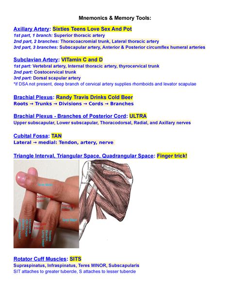 Thyrocervical Trunk Mnemonic