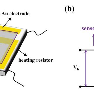 A Schematic Diagram Of Gas Sensor Element And B The Sensor Testing Download Scientific