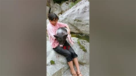 【村裏一枝雪妹妹】農村女孩到小溪捉螃蟹，搬開石頭就用手摸，膽真大被夾都沒放手農村生活 Shorts Youtube