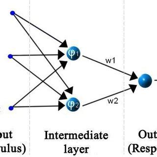 RBF Structure Source Adapted From 16 Download Scientific Diagram