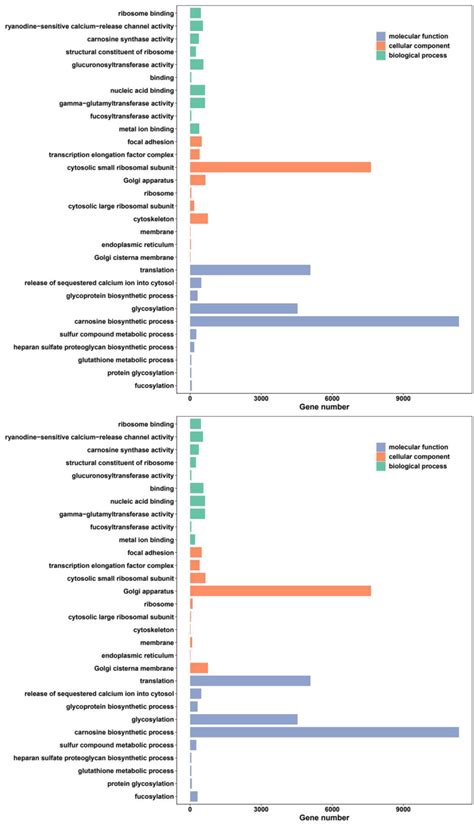 Screening Of Sex Special Genes In Common Long Arm Octopus Octopus Minor Based On Gonadal