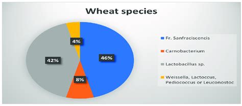 Distribution Of Species Among Wheat Lab Population Download Scientific Diagram