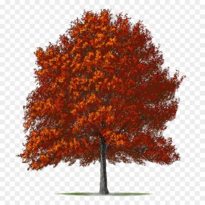 Red Tree Transparent PNG UW VGIM Pngsource