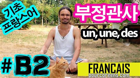 기초 프랑스어 B2 부정관사 Un Une Des Articles Indéfinis En Français Youtube