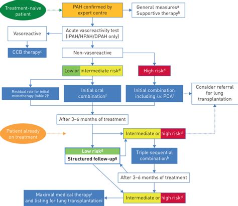 Treatment Algorithm Pah Pulmonary Arterial Hypertension Ipah
