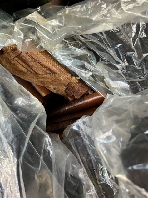 Watch Video Shows Explosions Fire Caused By Old Dynamite