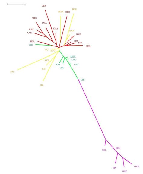 Neis Genetic Distance Unbiased Distance Tree Using The Download