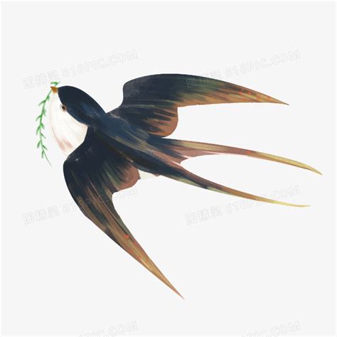 手绘燕子叼柳枝免抠素材图片免费下载png素材编号zq9iqkwn9图精灵