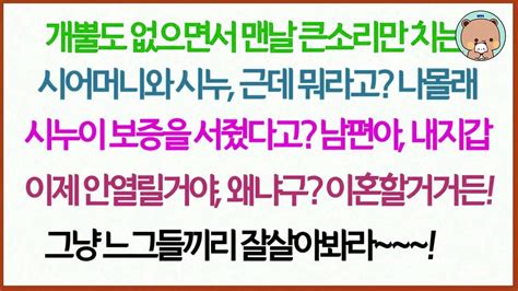 사이다사연개뿔도없으면서 맨날 큰소리만 치는 시어머니와 시누 근데 뭐라고 나몰래 시누이 보증을 서줬다고 남편아 내지갑 이제 안열릴거야 그냥 니들끼리 잘살아봐라 Youtube
