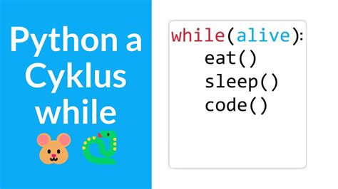 Online Kurz Python Cyklus While Break A Continue 🐹🐍 Youtube