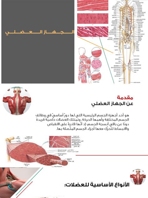 الجهاز العضلي Pdf