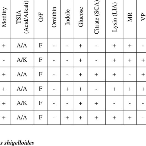 Biochemical Test Result Of Acinetobacter Iwoffii Download Scientific Diagram