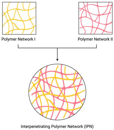 Characterization Methods To Determine Interpenetrating Polymer Network Ipn In Hydrogels Pmc