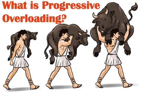 Progressive Overload The Science Behind Maximizing Muscle Growth