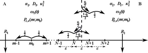 Figure 1 From Model Of Subdiffusion Absorption Process In A Membrane