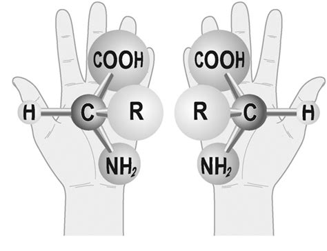 Figure 1 From The Contractile Field A New Model Of Human Movement Part 2 Semantic Scholar